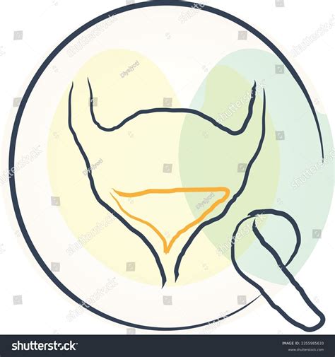 Bladder Suspension Over 20 Royalty Free Licensable Stock Illustrations And Drawings Shutterstock