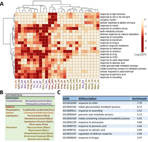 Meta Analysis Of The Transcriptomics Experiments A Heatmap Showing Download Scientific