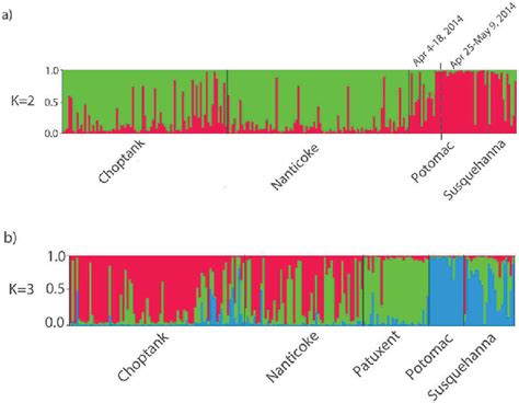 structure bar plots showing admixture proportions for a alewives k