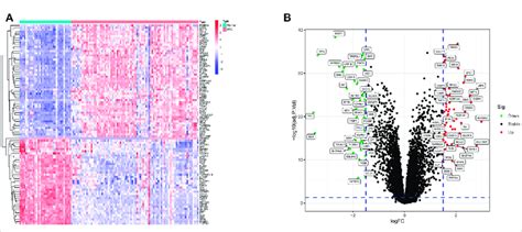 Heatmap And Volcano Plot Of Degs A The Heatmap Of Differential