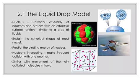 Nuclear Models Pdf