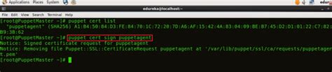Install Puppet Install Puppet In Four Simple Steps Edureka