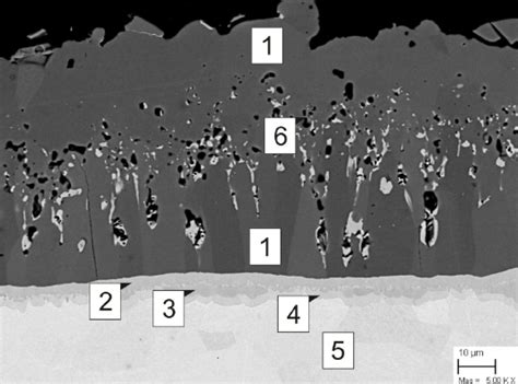 Sem Bse Micrograph Of Flat Sample Annealed For 45min At 1450°c In H 2