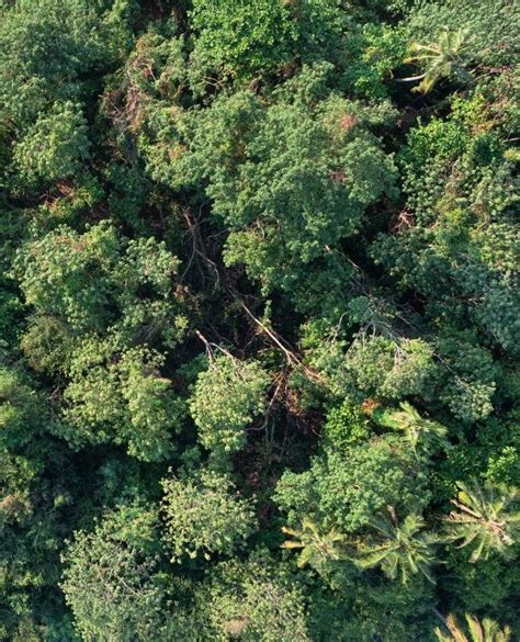 F B Tech Magazine On Linkedin Fbtechnz Foodandbeveragetechnologymagazine Foodtechnolognz…