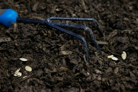Fall Garden Care Vermicompost Application Worm Wrangler