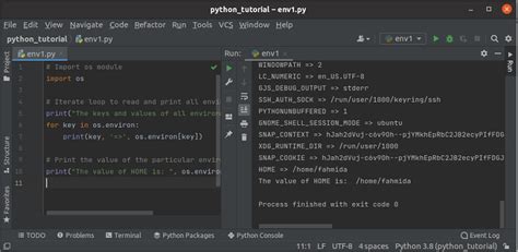 python переменные окружения виды и способы использования