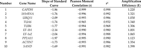 Amplification Correlation Coefficients And Amplification Efficiency