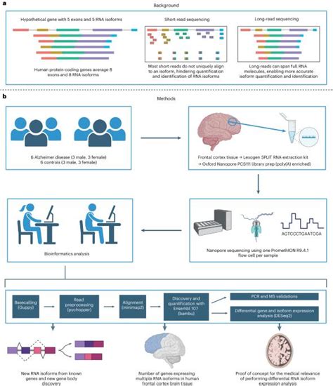 Eunus S Ali Phd On Linkedin Mapping Medically Relevant Rna Isoform