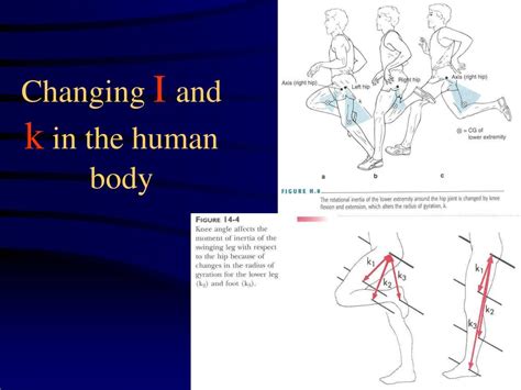 PPT Week Angular Kinetics Objectives PowerPoint Presentation Free Download ID