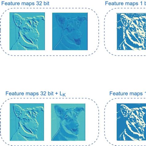 Feature Maps Taken From The First Layer Of Resnet 18 Trained On An Download Scientific Diagram