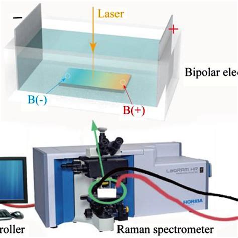 Schematic Illustration Of In Situ Raman Measurement Along With Bipolar Download Scientific