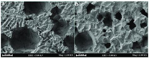 Sem Micrographs Of Carbon Steel Inoculated With Desulfovibrio