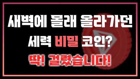 법정화폐로 채택된 상승할 수 밖에 없는 코인 조정 때 무조건 담아야 합니다 Youtube