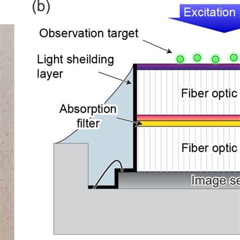 Aphotograph Of The Fabricated Lensless ﬂuorescence Imaging Download Scientific Diagram