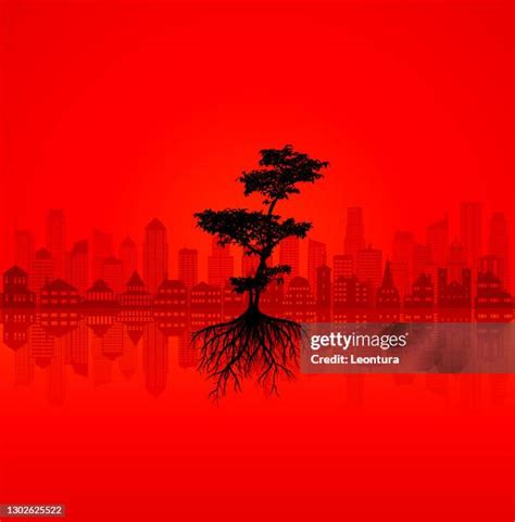 Tree With Roots Vector Silhouette Photos And Premium High Res Pictures Getty Images