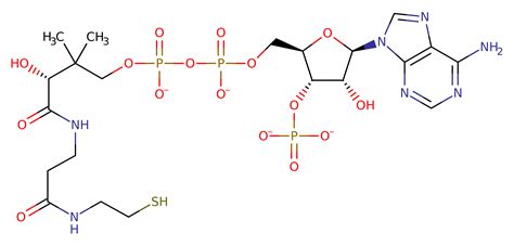 Succinyl Coa Structure
