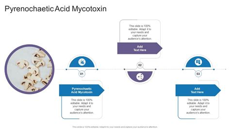 Pyrenochaetic Acid Mycotoxin Ppt Template Cpp Ppt Example