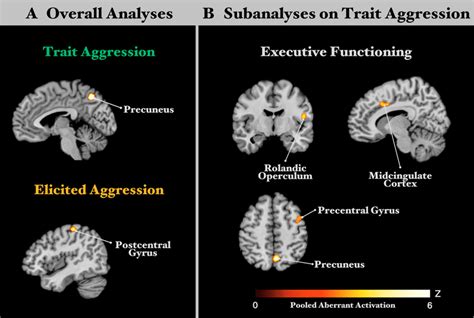 Convergent Aberrant Activation Clusters From Overall Ale Analyses And
