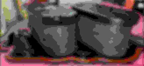 Fords Oil Separator Internals Page 3 Ford Truck Enthusiasts Forums Fords Oil Separator Internals Page 3 Ford Truck Enthusiasts Forums