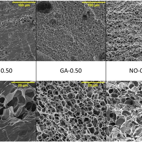 Schematic Of The Synthesis Of Polyacrylamide And Nanocomposite Hydrogels Download Scientific