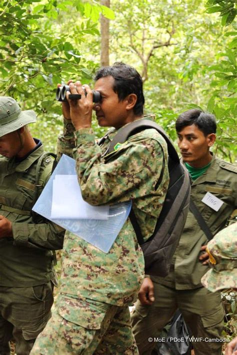 សត្វដំរីជាថនិកសត្វលើគោកដែលមានមាឌធំជាងគេ មានភាពវៃឆ្លាត ហើយរស់នៅជាហ្វូង