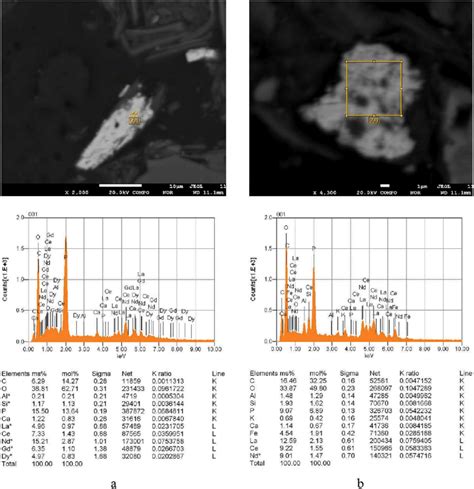 Photo Of Sem And Eds Analysis Of The Ore Sample Download Scientific