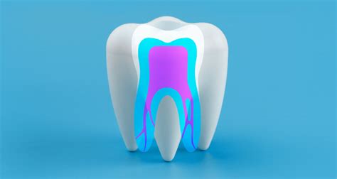 The Root Canal Treatment That Promotes Pain Free Fast Healing The