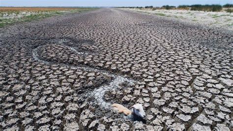 Australia Drought The Unlikely Group Calling For Climate Action