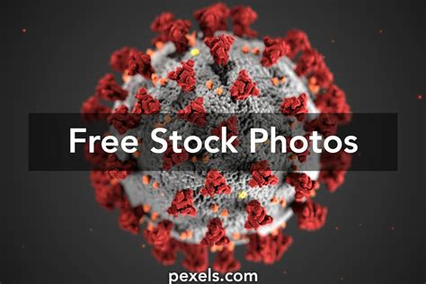 Disease Outbreak Photos Download The Best Free Disease Outbreak Stock