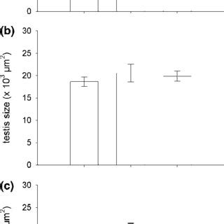 Comparison Of A Body Size B Testis Size And C Ovary Size Between Download Scientific Diagram