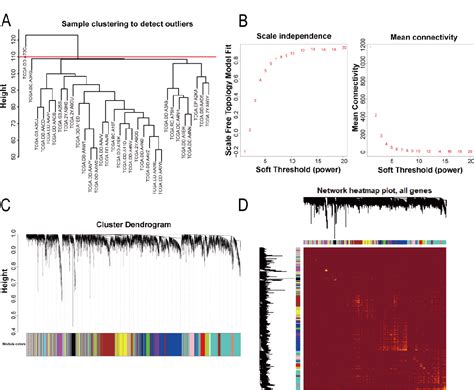 Figure 2 From Bioinformatic Analysis And In Vitro And In Vivo Experiments Reveal That