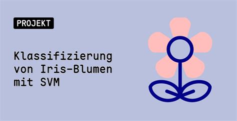 Projekt Klassifizierung Von Iris Blumen Mit Svm Labex