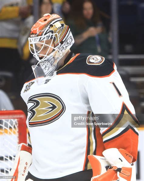 The Artwork On The Mask Of Anaheim Ducks Goalie Lukas Dostal Is Shown