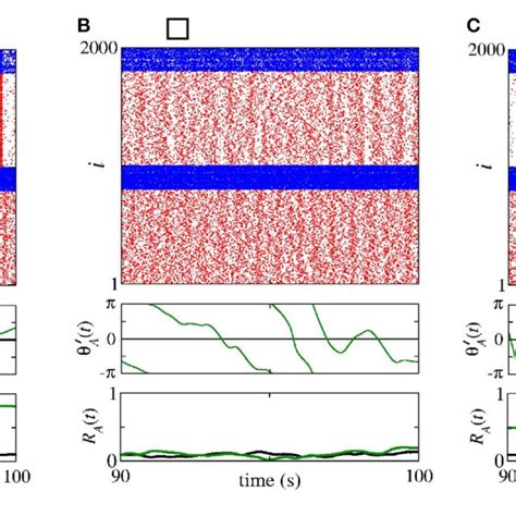 Raster Plot Top Time Evolution Of ′ A Middle And Time Evolution