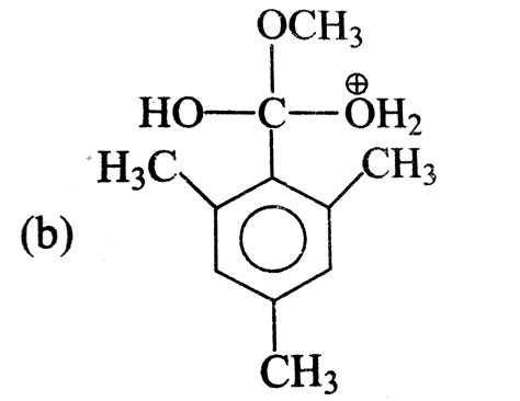 In The Esterificaiton Reaction Which Of The Following Is Formed