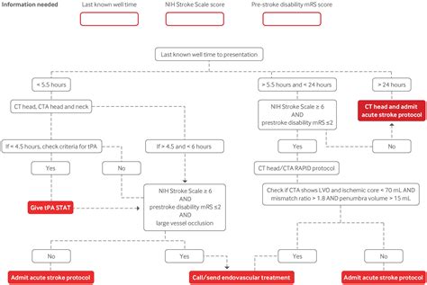 7 step algorithm for treating ischemic stroke updated 2023