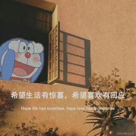 纯html css网页设计期末作业（海贼王主题网站——图片可换，主题可换） html css静态网页模板航海王 csdn博客