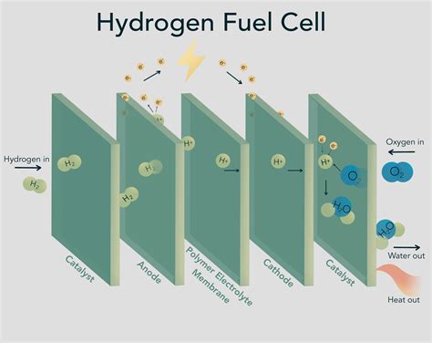 Hydrogen Fuel Cell Diagram