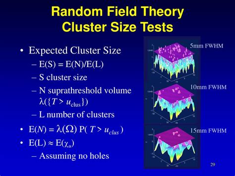Inference On Spms Random Field Theory And Alternatives Ppt Download