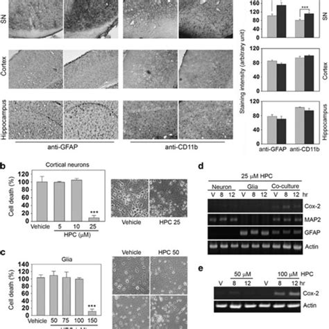 The Common Structure Of Cyclodiene Insecticides Download Scientific