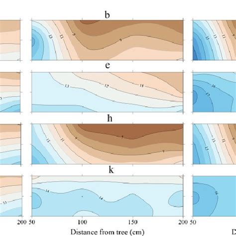 Two Dimensional Fine Root Length Density Distribution In Different Download Scientific Diagram