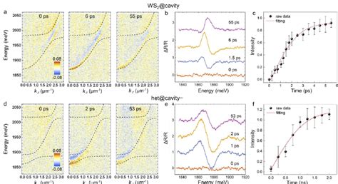 Time Resolved Polariton Relaxation Dynamics A C K Space Download Scientific Diagram