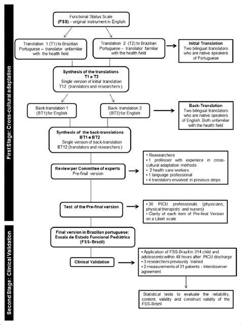 Steps Of Cross Cultural Adaptation And Validation Of Functional Status