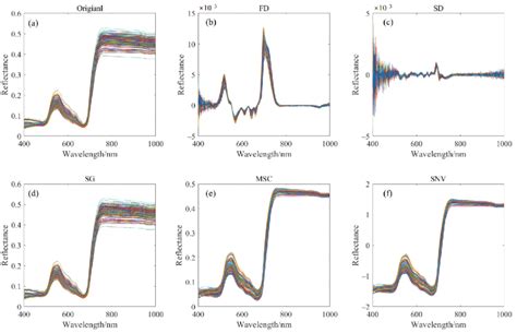 Different Spectral Data Transformations Download Scientific Diagram