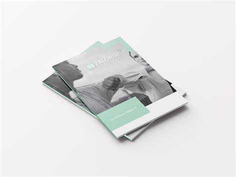 Presenting The Synthesis Report Revalorise