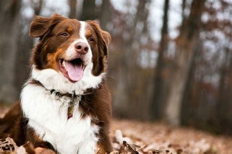 Would You Drink With This Nerd W4m Ny On Tumblr