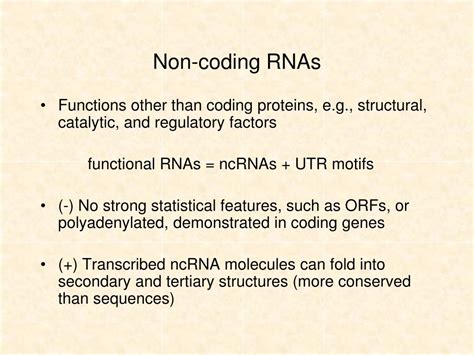 Ppt C Omputational Ncrna Gene Finding And Nc Rna Structure Prediction Powerpoint Presentation