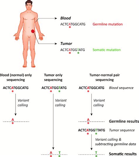 Figure 3 From Evolving Significance Of Tumor Normal Sequencing In Cancer Care Semantic Scholar