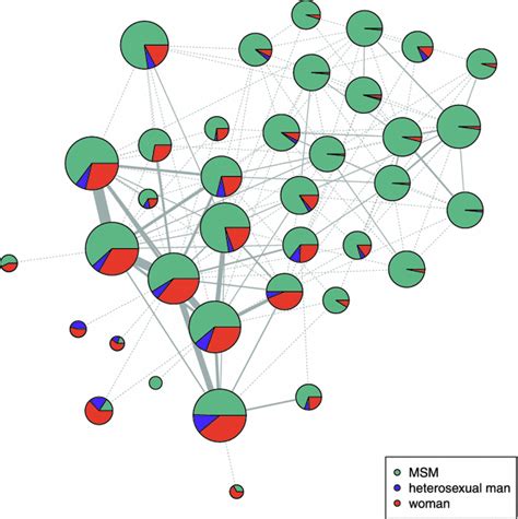 The Giant Component Divided Into 37 Clusters Each Disk In The