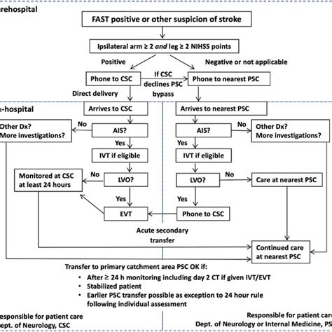 Flowchart Of The Ssts Ais Acute Ischemic Stroke Csc Comprehensive Download Scientific Flowchart Of The Ssts Ais Acute Ischemic Stroke Csc Comprehensive Download Scientific